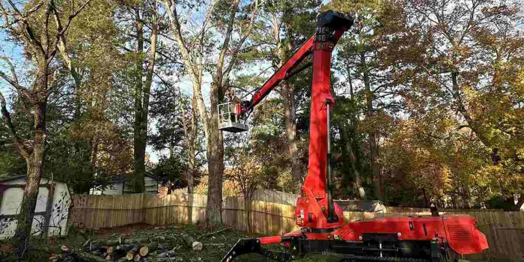 How to Dispose of Tree Branches Properly in Wake Forest, NC | Raleigh ...