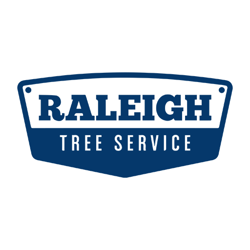 Professional Tree Services in Raleigh, NC Since 2001 | Raleigh Tree Service